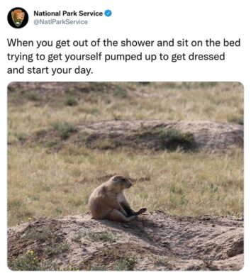 40 Funniest National Park Service Tweets From This Year