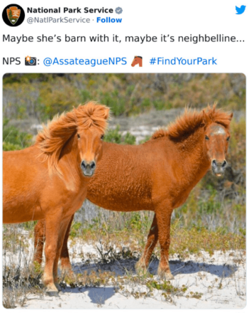40 Funniest National Park Service Tweets From This Year