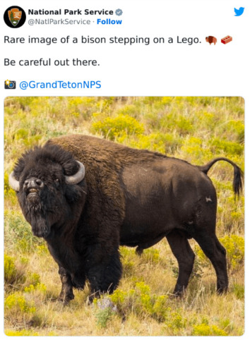 40 Funniest National Park Service Tweets From This Year