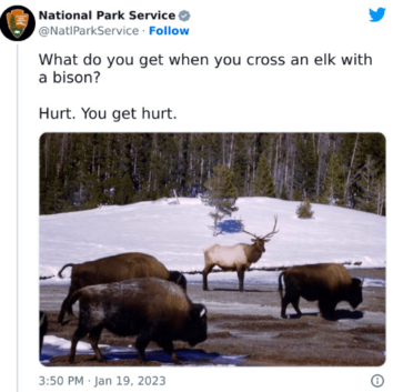 40 Funniest National Park Service Tweets From This Year