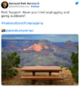 40 Funniest National Park Service Tweets From This Year