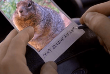 40 Funniest National Park Service Tweets From This Year
