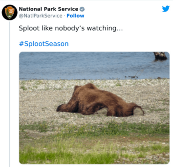 40 Funniest National Park Service Tweets From This Year
