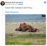 40 Funniest National Park Service Tweets From This Year
