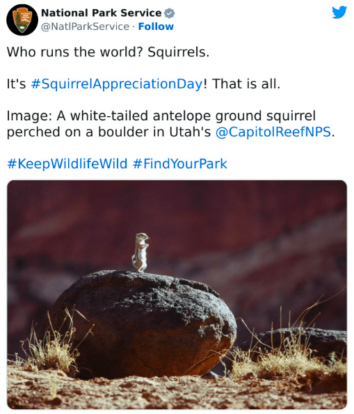 40 Funniest National Park Service Tweets From This Year