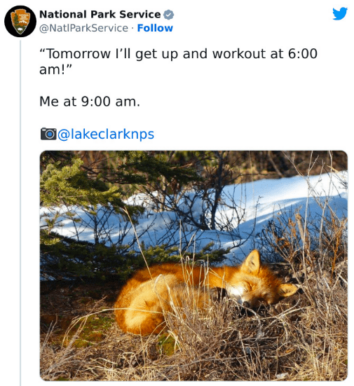 40 Funniest National Park Service Tweets From This Year