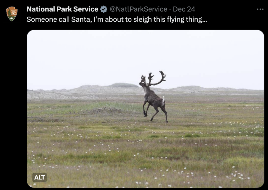 40 Funniest National Park Service Tweets From This Year