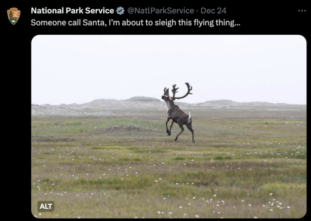 40 Funniest National Park Service Tweets From This Year