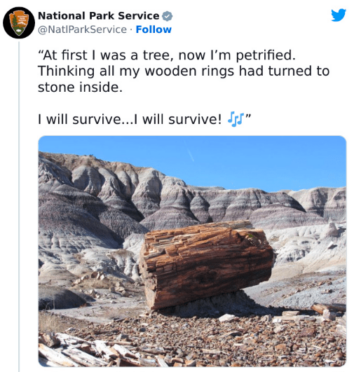 40 Funniest National Park Service Tweets From This Year