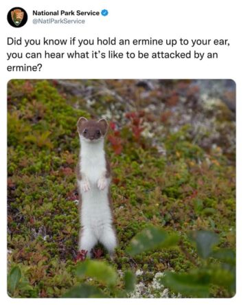 40 Funniest National Park Service Tweets From This Year