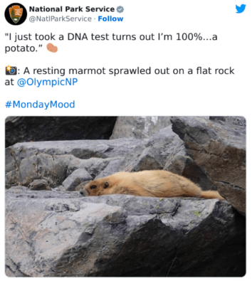 40 Funniest National Park Service Tweets From This Year