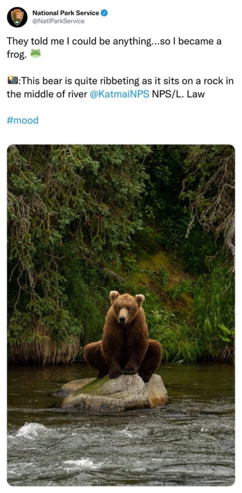 40 Funniest National Park Service Tweets From This Year