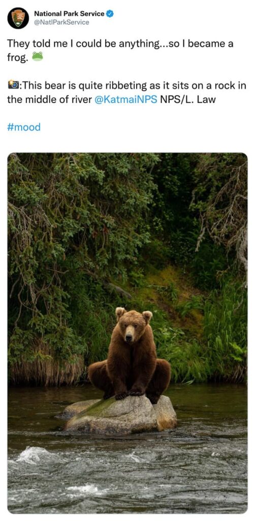 40 Funniest National Park Service Tweets From This Year