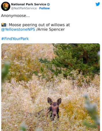 40 Funniest National Park Service Tweets From This Year