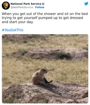 40 Funniest National Park Service Tweets From This Year