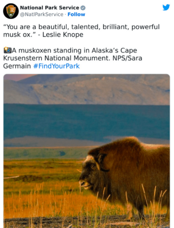 40 Funniest National Park Service Tweets From This Year