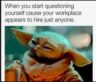 66 Funniest Star Wars Memes That Brought Balance To The Dark And Light ...