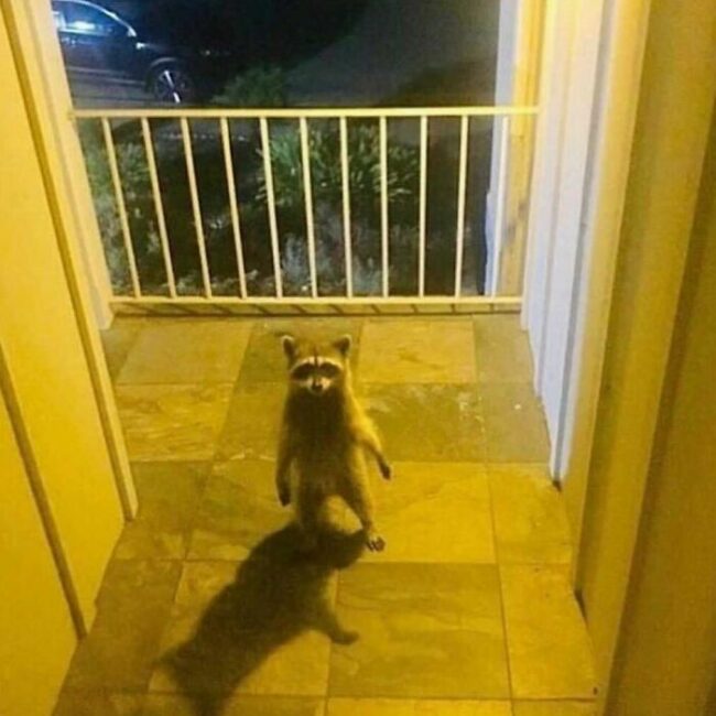 50 Funny And Weird Pictures Posted With No Context Making Them Even ...