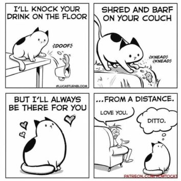 40 Funny Cat Comics By Lucas Turnbloom That Hilariously Capture Life ...