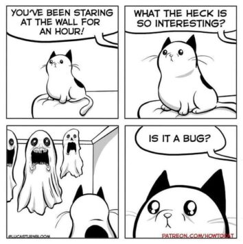 40 Funny Cat Comics By Lucas Turnbloom That Hilariously Capture Life ...