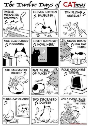 40 Funny Cat Comics By Lucas Turnbloom That Hilariously Capture Life ...