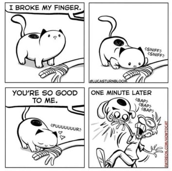 40 Funny Cat Comics By Lucas Turnbloom That Hilariously Capture Life ...