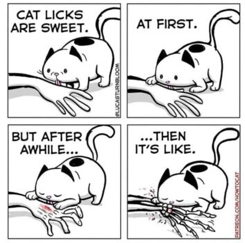 40 Funny Cat Comics By Lucas Turnbloom That Hilariously Capture Life ...