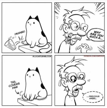 40 Funny Cat Comics By Lucas Turnbloom That Hilariously Capture Life ...