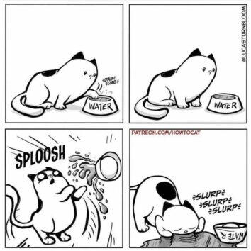 40 Funny Cat Comics By Lucas Turnbloom That Hilariously Capture Life ...