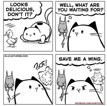 40 Funny Cat Comics By Lucas Turnbloom That Hilariously Capture Life ...