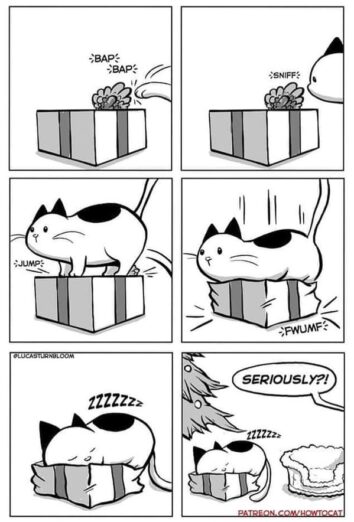 40 Funny Cat Comics By Lucas Turnbloom That Hilariously Capture Life ...