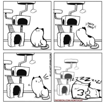 40 Funny Cat Comics By Lucas Turnbloom That Hilariously Capture Life ...