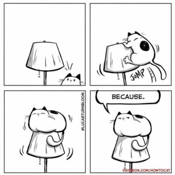 40 Funny Cat Comics By Lucas Turnbloom That Hilariously Capture Life ...