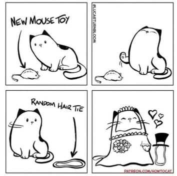 40 Funny Cat Comics By Lucas Turnbloom That Hilariously Capture Life ...