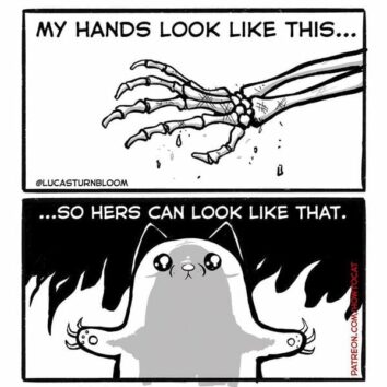40 Funny Cat Comics By Lucas Turnbloom That Hilariously Capture Life ...