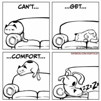 40 Funny Cat Comics By Lucas Turnbloom That Hilariously Capture Life ...