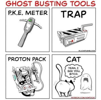40 Funny Cat Comics By Lucas Turnbloom That Hilariously Capture Life ...