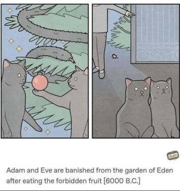 40 Funny Christmas Cat Memes Celebrating The Most Chaotic Holiday Cat ...