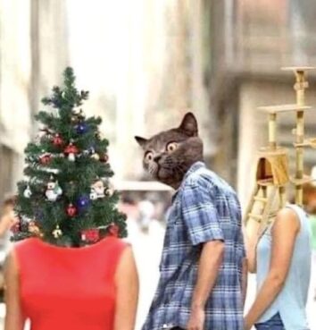 40 Funny Christmas Cat Memes Celebrating The Most Chaotic Holiday Cat ...