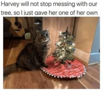 40 Funny Christmas Cat Memes Celebrating The Most Chaotic Holiday Cat ...