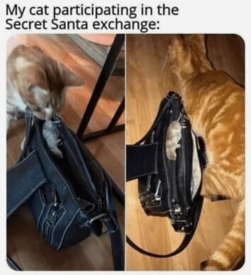 40 Funny Christmas Cat Memes Celebrating The Most Chaotic Holiday Cat ...