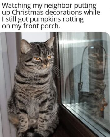 40 Funny Christmas Cat Memes Celebrating The Most Chaotic Holiday Cat ...