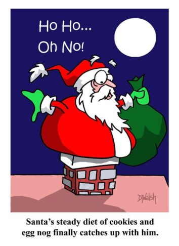 20 Funny One-Panel Christmas Comics From DT Walsh To Spark Your Festive ...