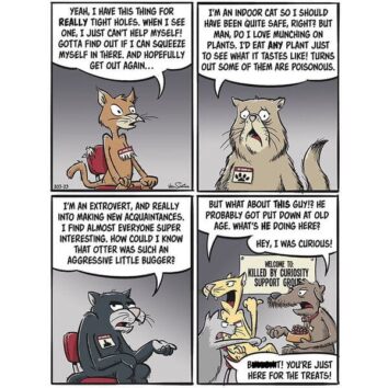 45 Dark Humor Comics About The Afterlife From Death & The Maiden