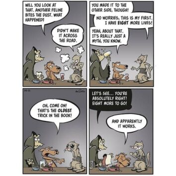 45 Dark Humor Comics About The Afterlife From Death & The Maiden