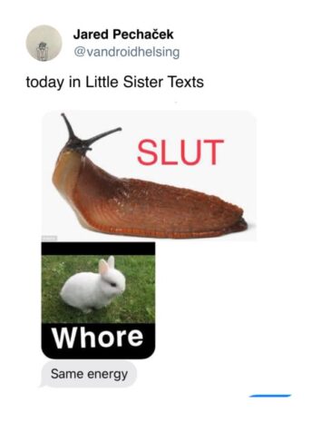 40 Funny Gen Z Texts That Millennial Siblings Can't Stop Laughing At