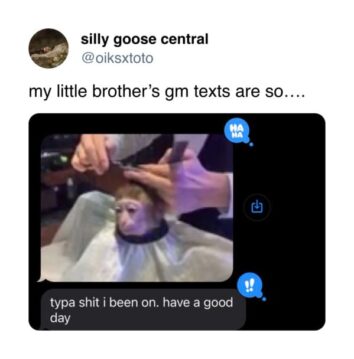 40 Funny Gen Z Texts That Millennial Siblings Can't Stop Laughing At