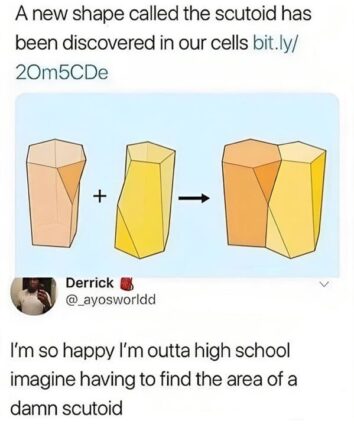 45 Science And Math Memes You Don't Have To Be Nerdy To Laugh At But It ...