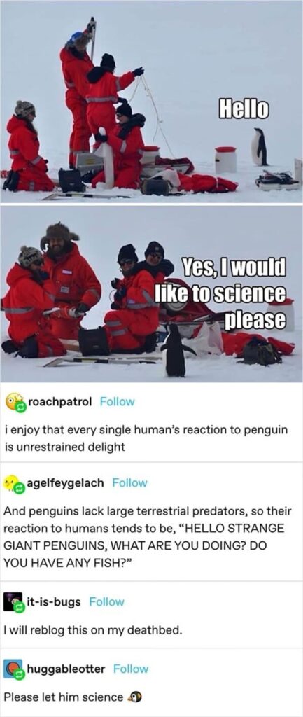 45 Science And Math Memes You Don't Have To Be Nerdy To Laugh At But It ...