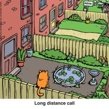 45 Funny One-Panel Cat Comics By Cartoonist Anthony Smith